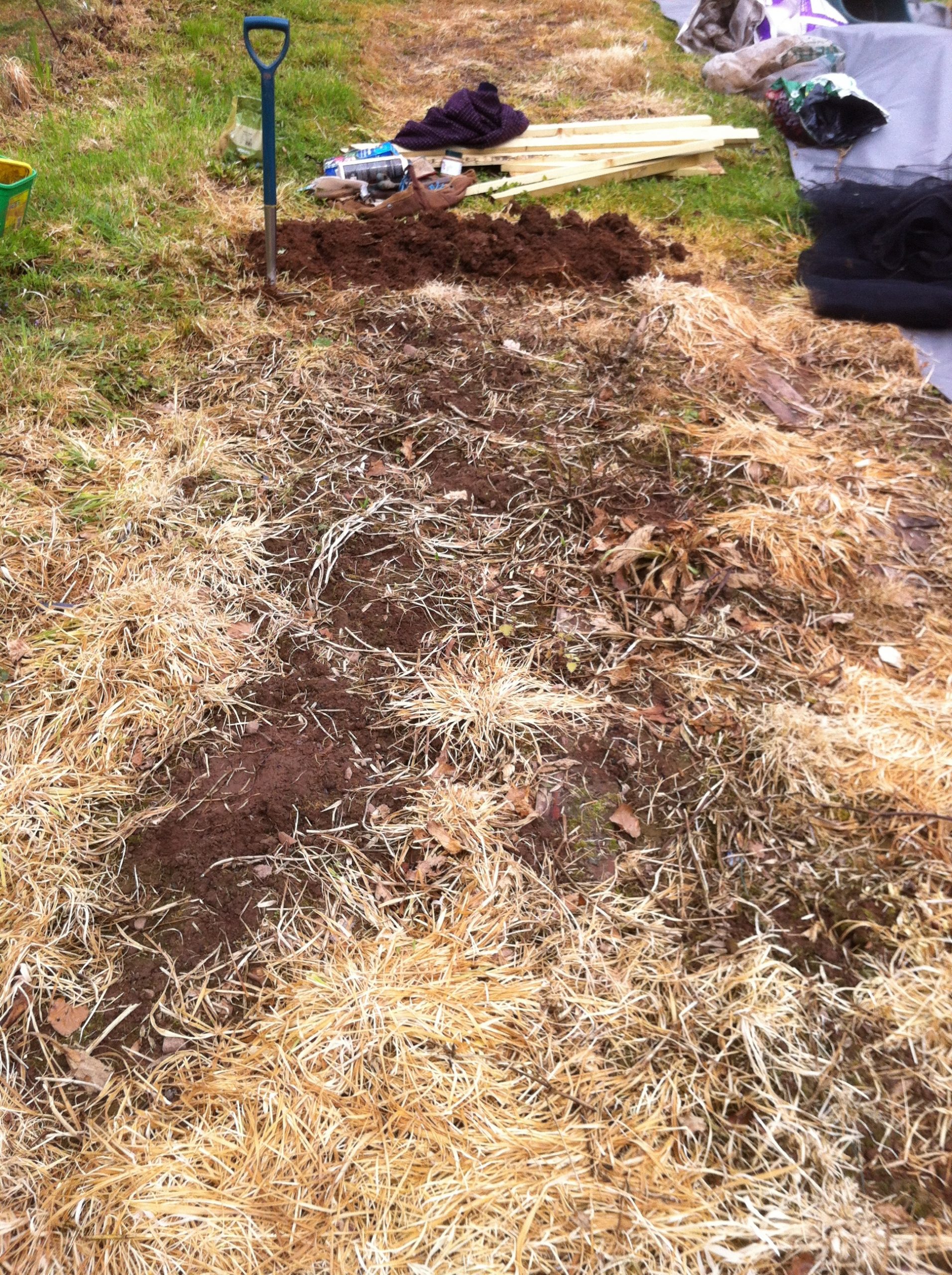 All you need is a patch of soil - The Seed Detective