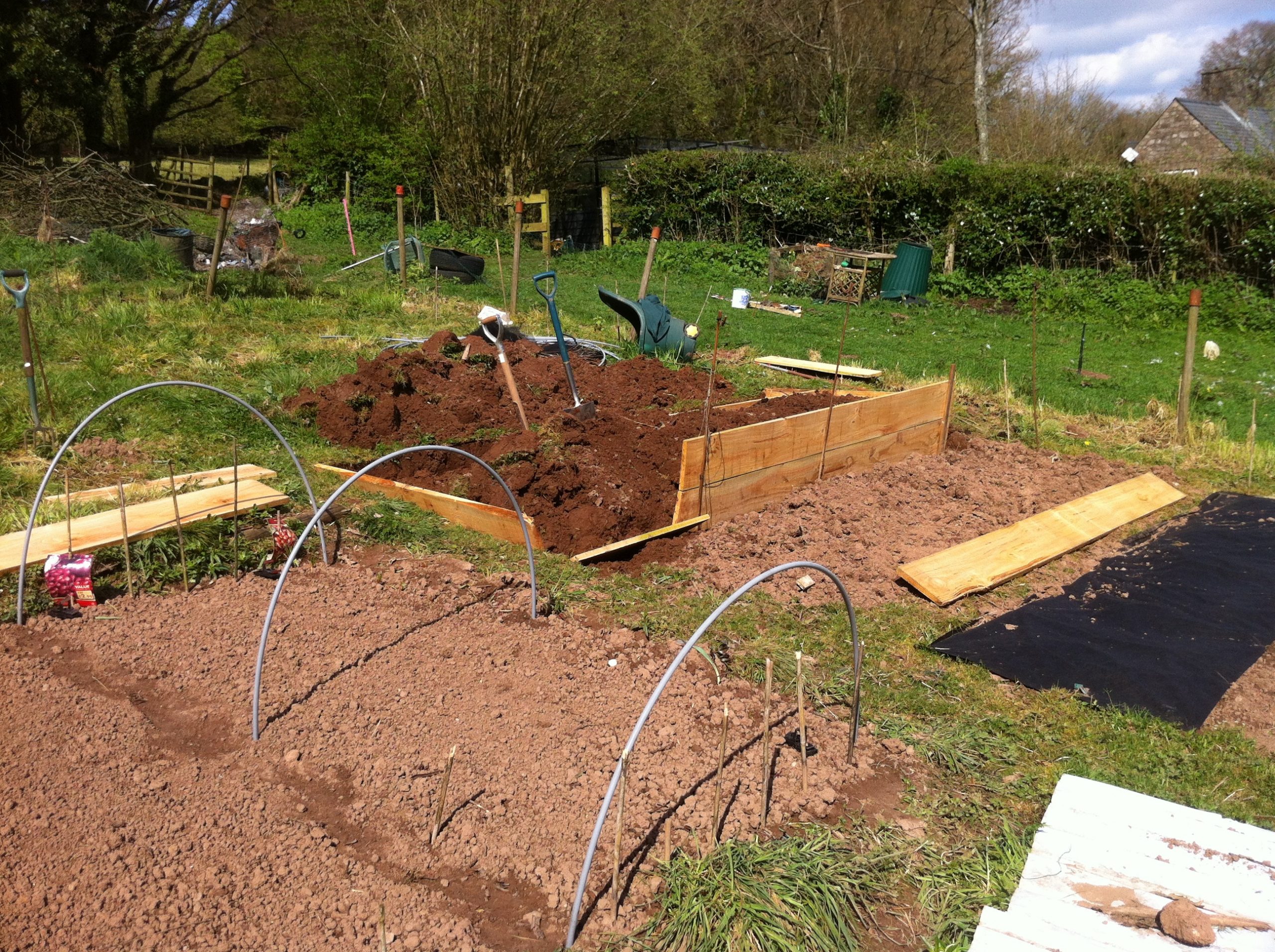 ALL YOU NEED IS A PATCH OF SOIL | The Seed Detective